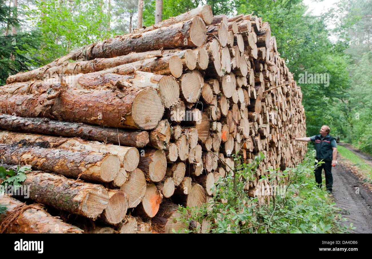 Forest offical Thomas Deppe stands in front of a large pile of logged ...
