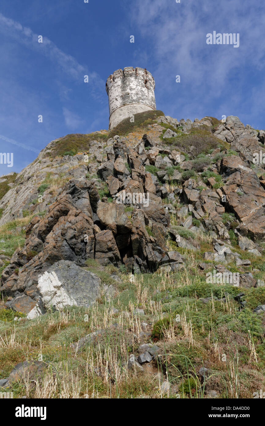 Genoese tower at Parata Point. Corse-du-Sud, Corsica Island, France ...