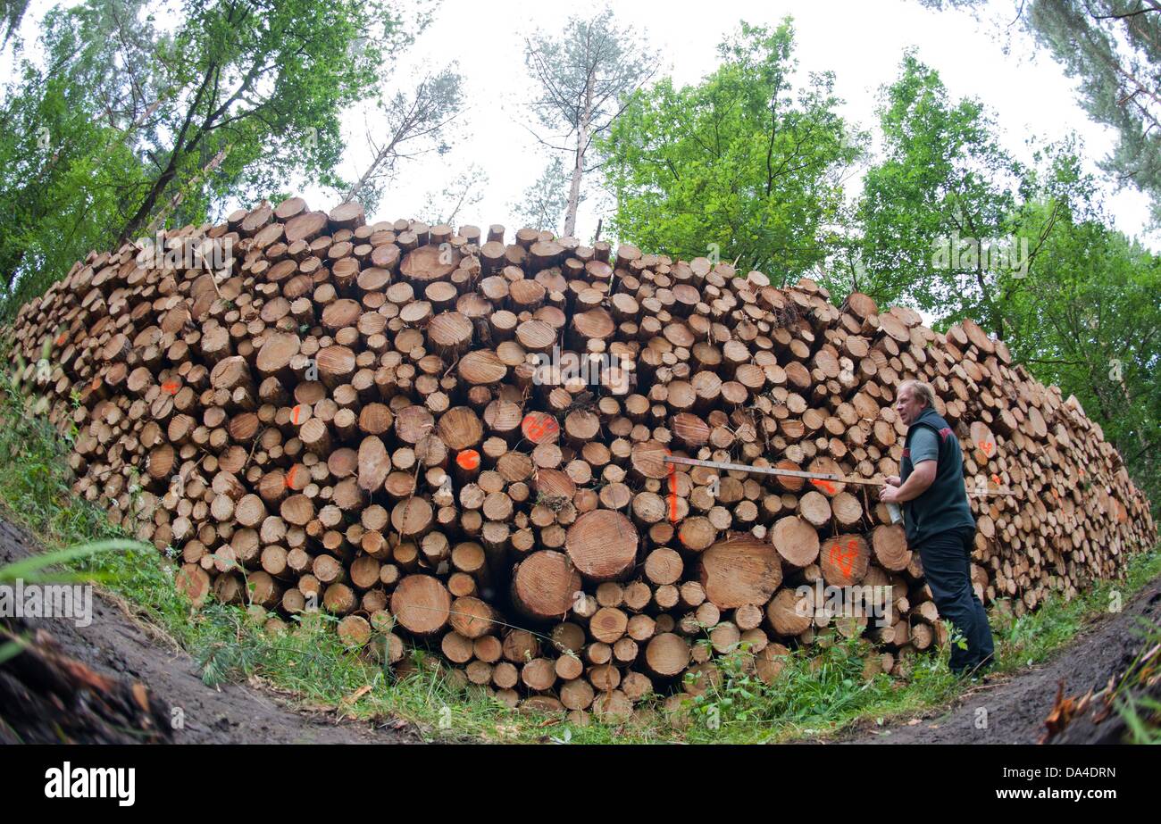 Forest offical Thomas Deppe stands in front of a large pile of logged ...