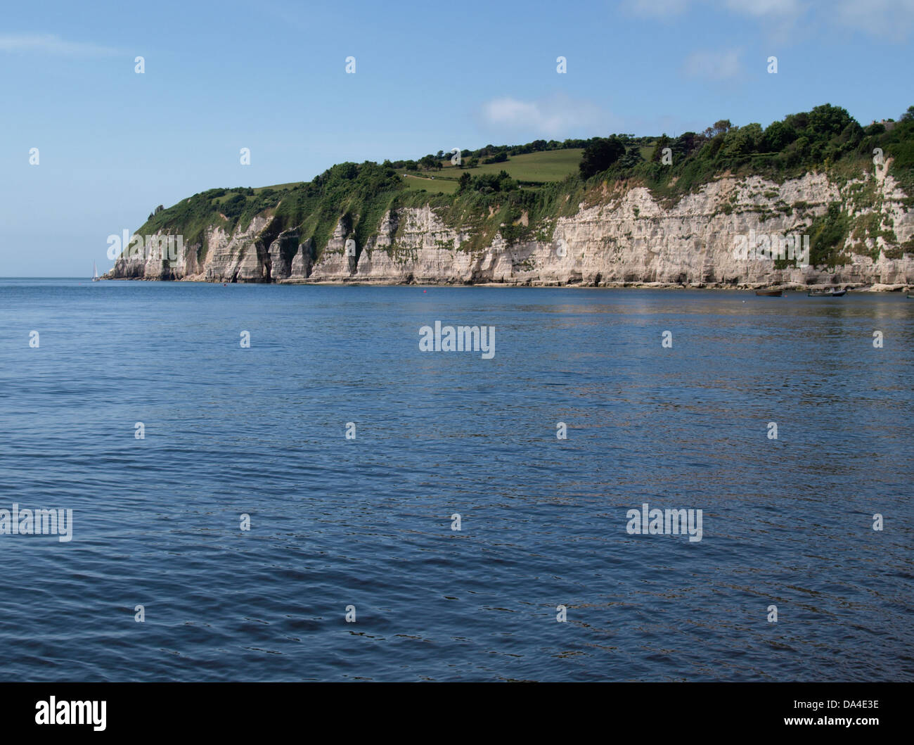White cliffs at Beer, Devon, UK 2013 Stock Photo - Alamy