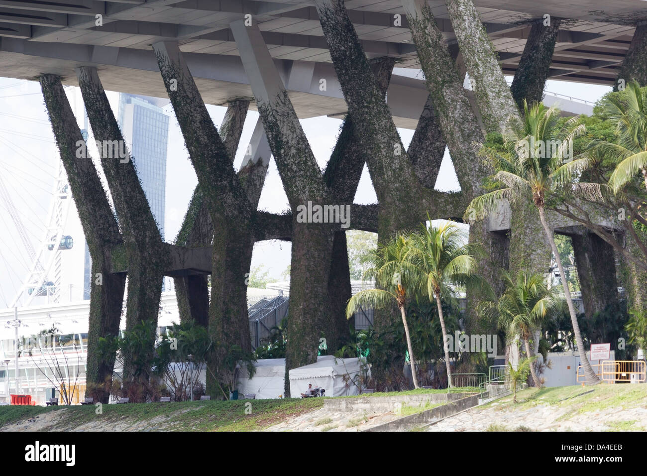 Base pillars of the Benjamin Sheares Bridge in Singapore with creepers ...