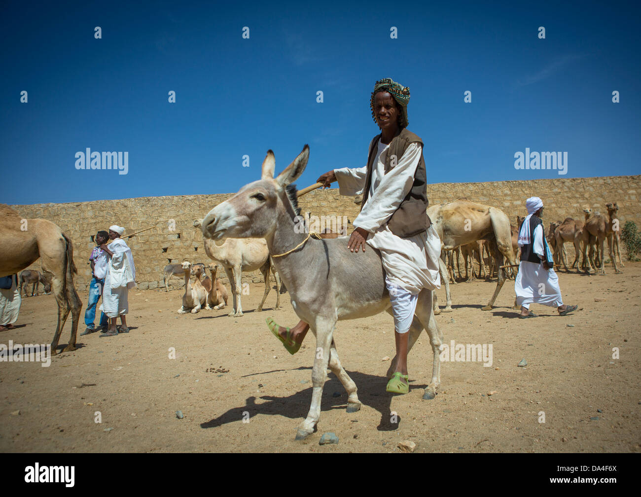 Man Riding A Donkey In Monday Camel Market, Keren, Eritrea Stock Photo ...