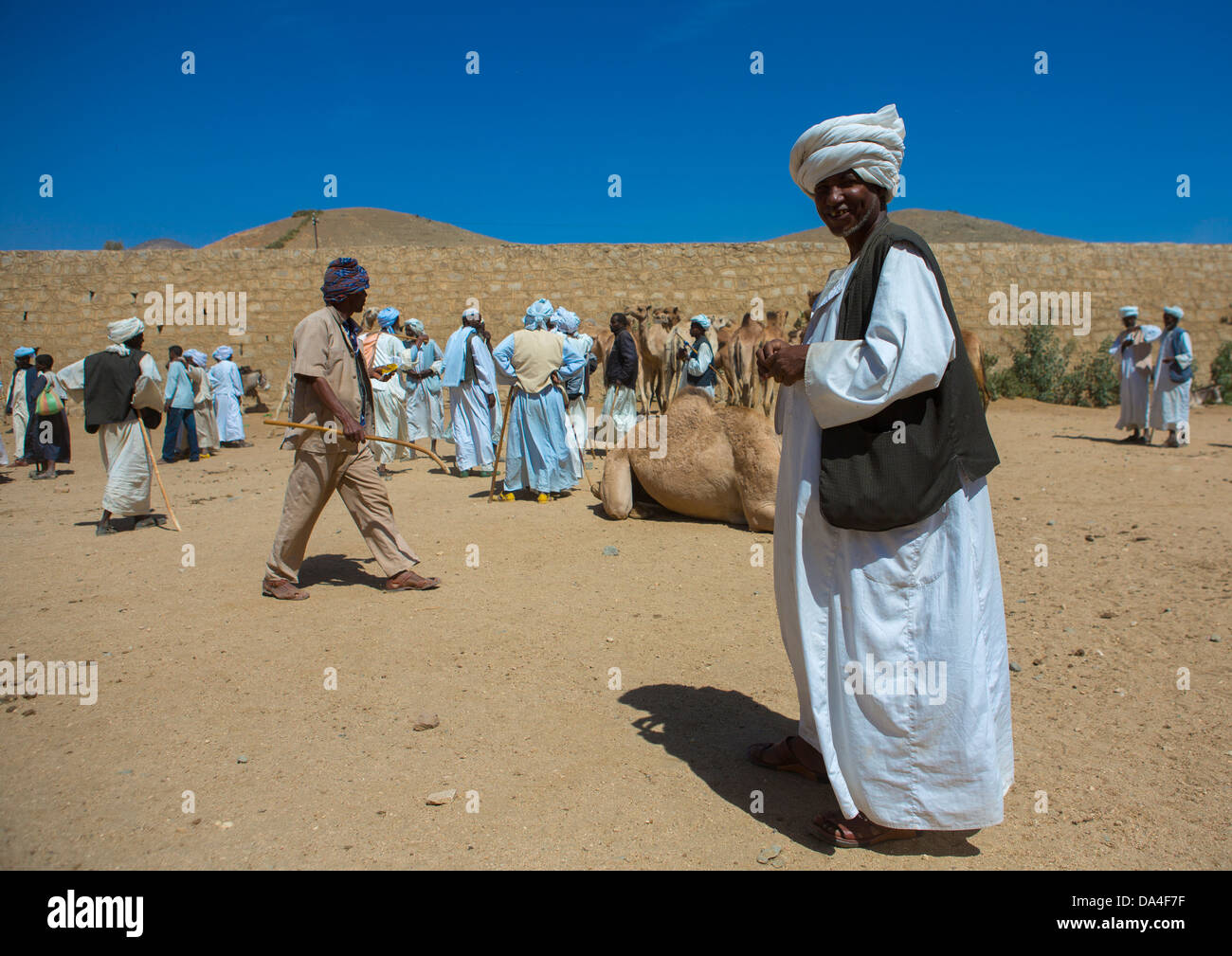 Monday Camel Market, Keren, Eritrea Stock Photo - Alamy