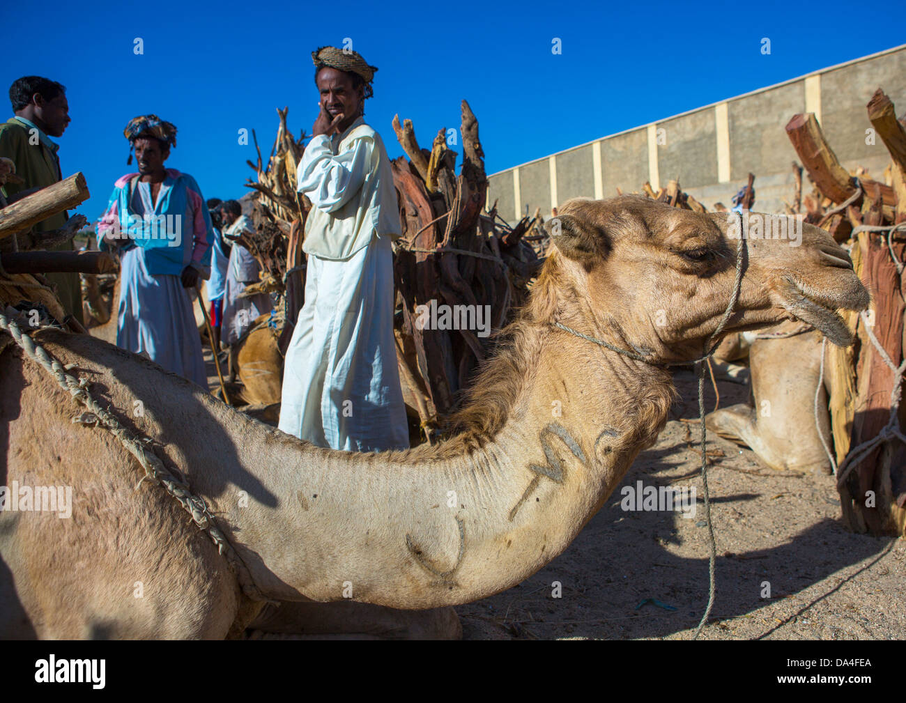 Monday Camel Market, Keren, Eritrea Stock Photo - Alamy