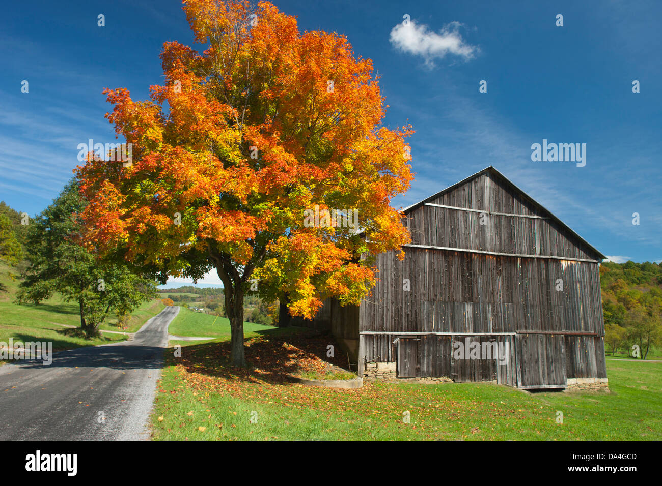 FALL FOLIAGE COUNTRY ROAD INDIANA COUNTY PENNSYLVANIA USA Stock Photo ...