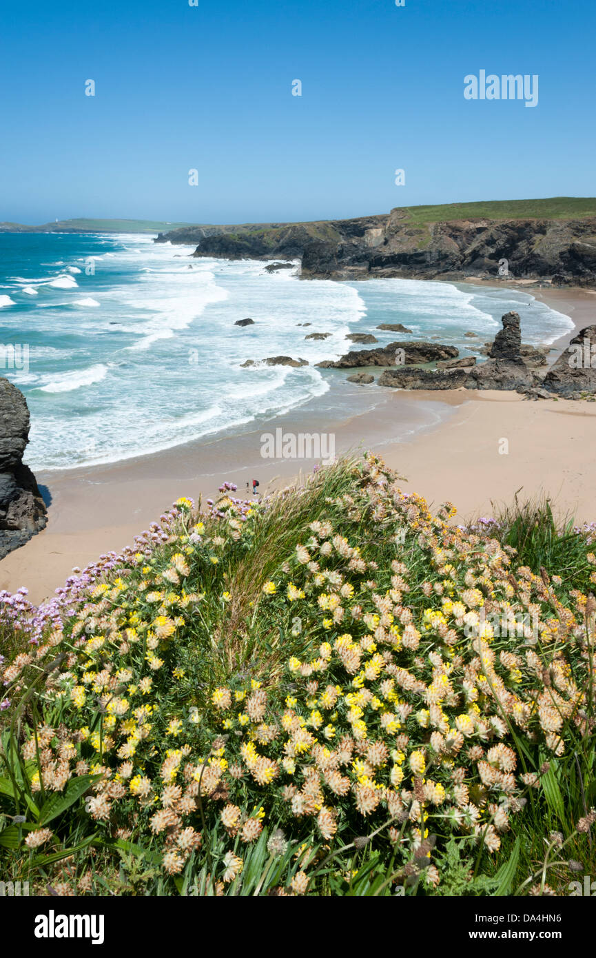 Cornwall porthcothan bay hi-res stock photography and images - Alamy