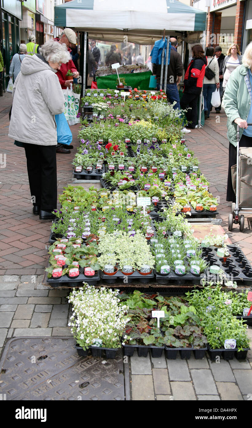 Plant stall hi-res stock photography and images - Alamy