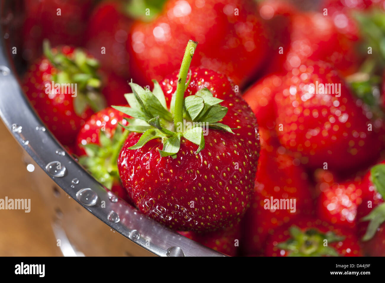 Harvest Fresh red strawberries in a stainless steel colander with water ...