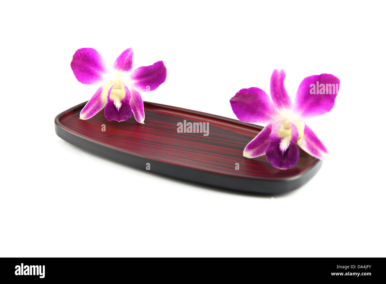 Orchid plate hi-res stock photography and images - Alamy