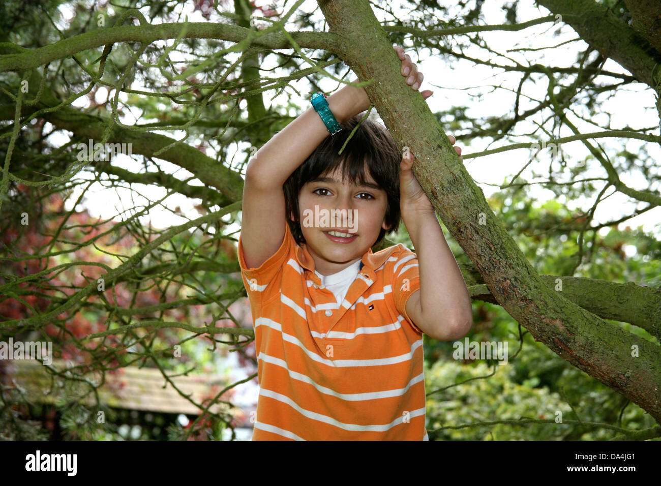 Climbing the daylight and nature hi-res stock photography and images ...