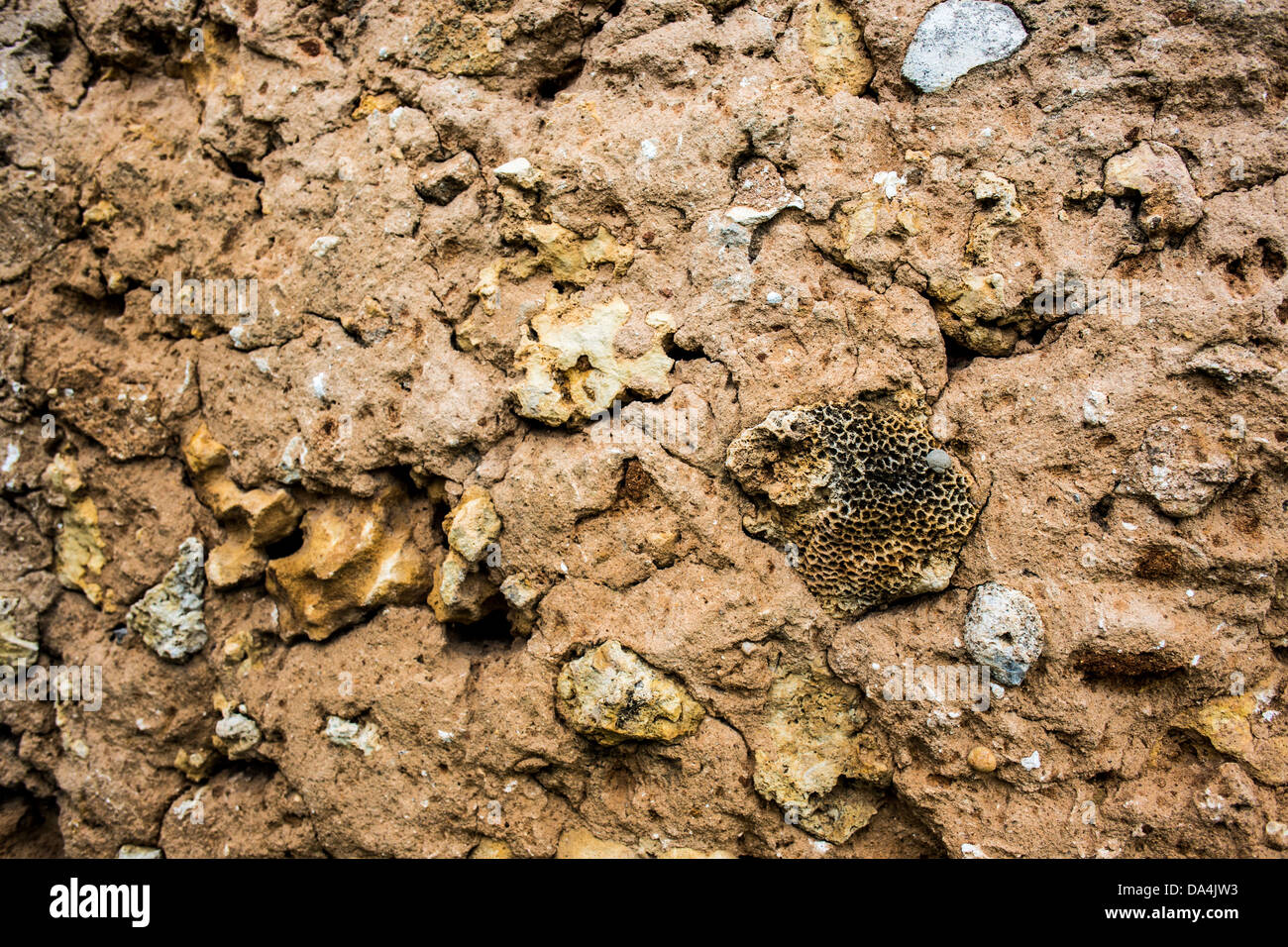 The sultan zanzibar hi-res stock photography and images - Alamy