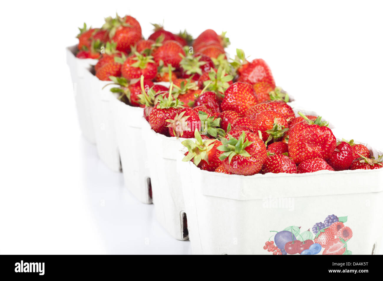 Harvest Fresh Strawberries in cardboard boxes lined up on a white ...