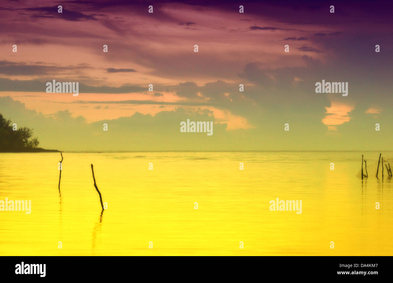 Golden sea hi-res stock photography and images - Alamy