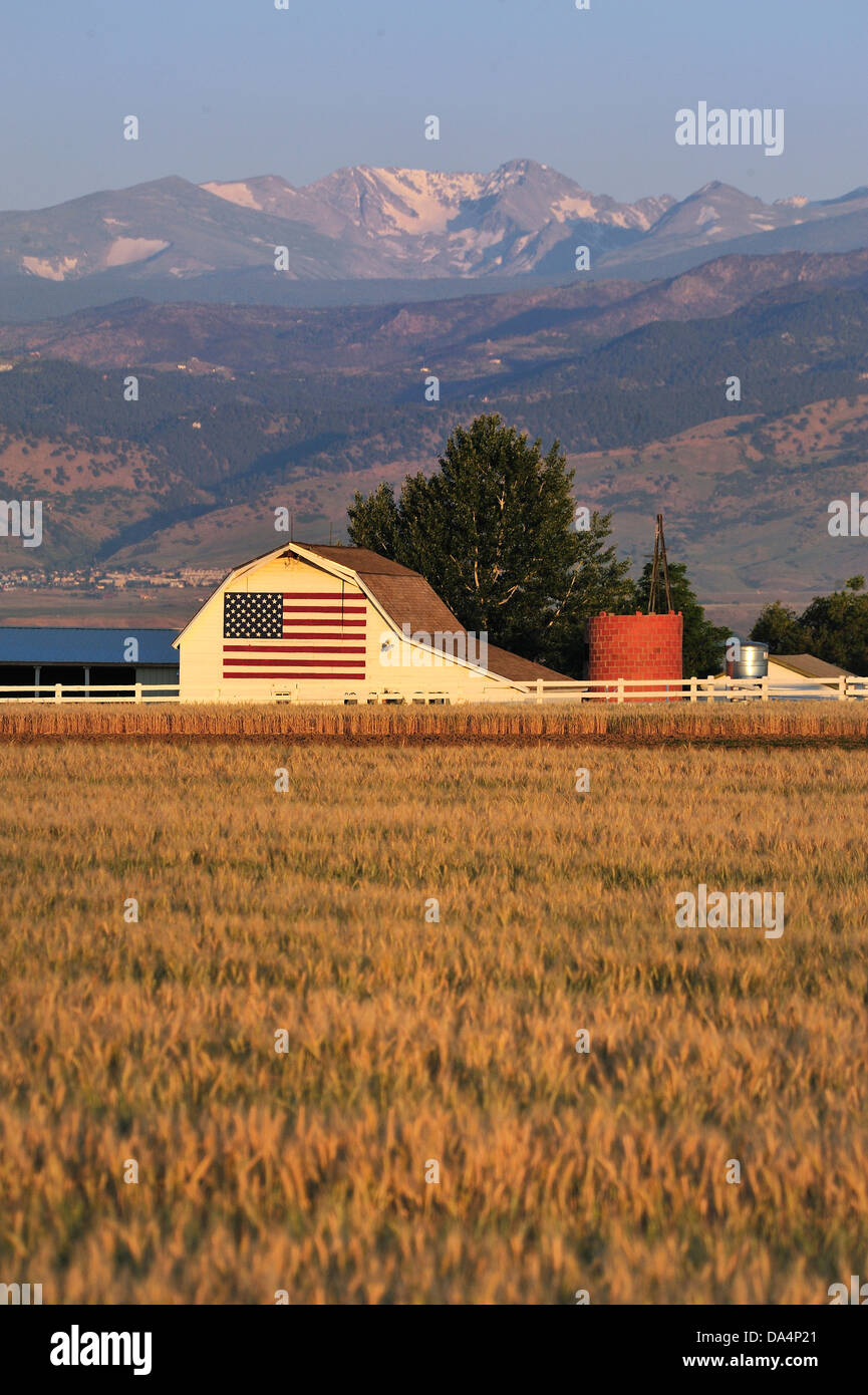 Wheat farm, Colorado, USA Stock Photo - Alamy