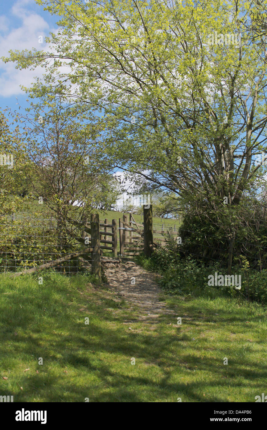 Exit from an English country field Stock Photo - Alamy