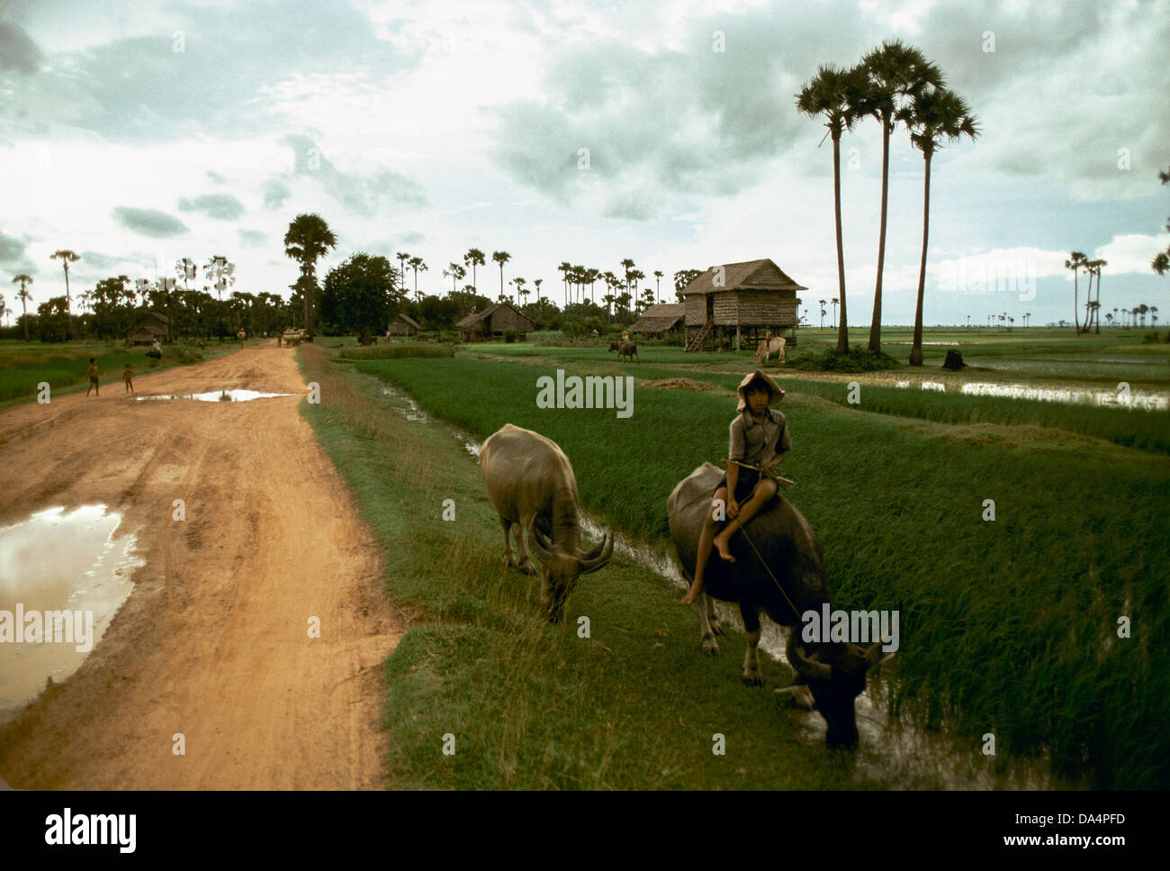 Prey veng province hi-res stock photography and images - Alamy