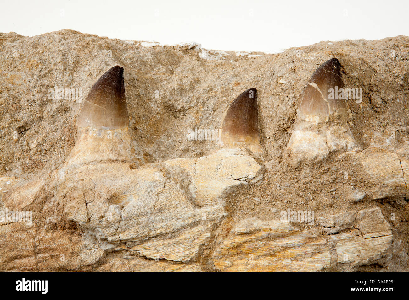 Matrix of sandstone hi-res stock photography and images - Alamy