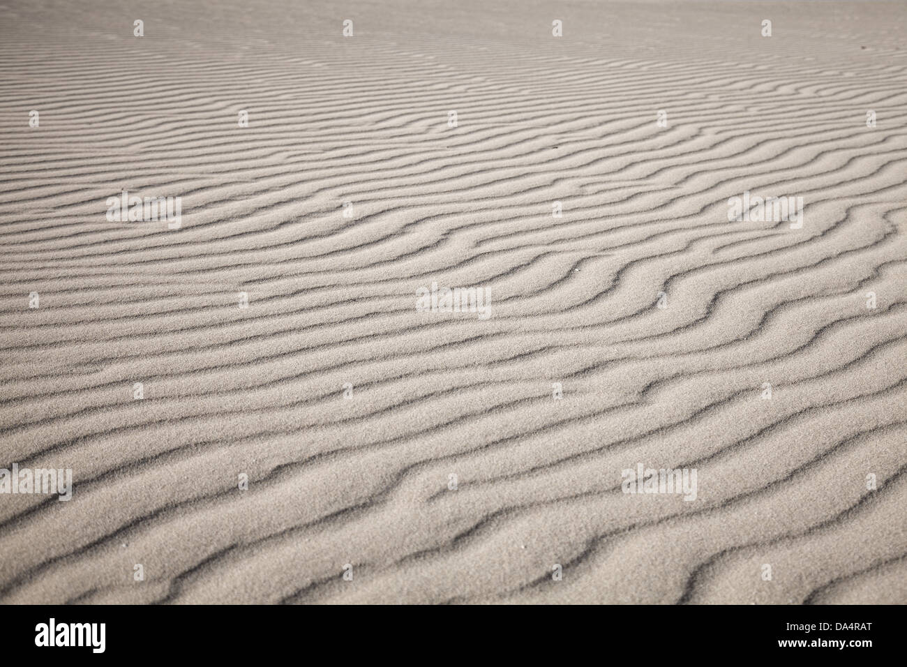 sand and wind pattern on dunes Stock Photo - Alamy