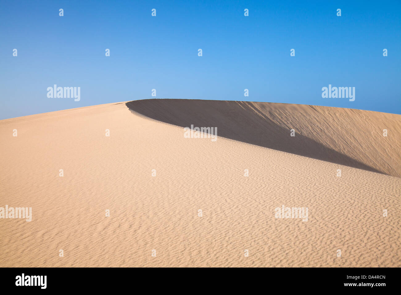 barkhan dune, evening light, long shadows Stock Photo - Alamy