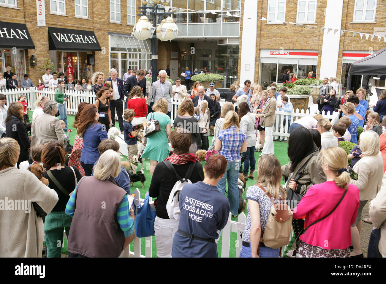 Chelsea dogs hi-res stock photography and images - Alamy