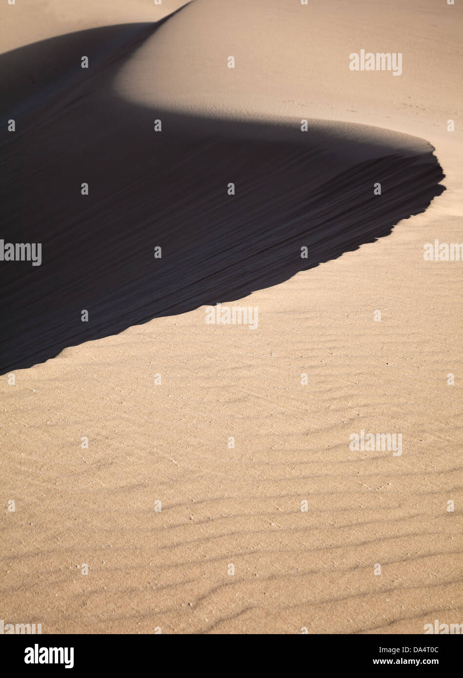 barkhan dune, evening light, long shadows Stock Photo - Alamy