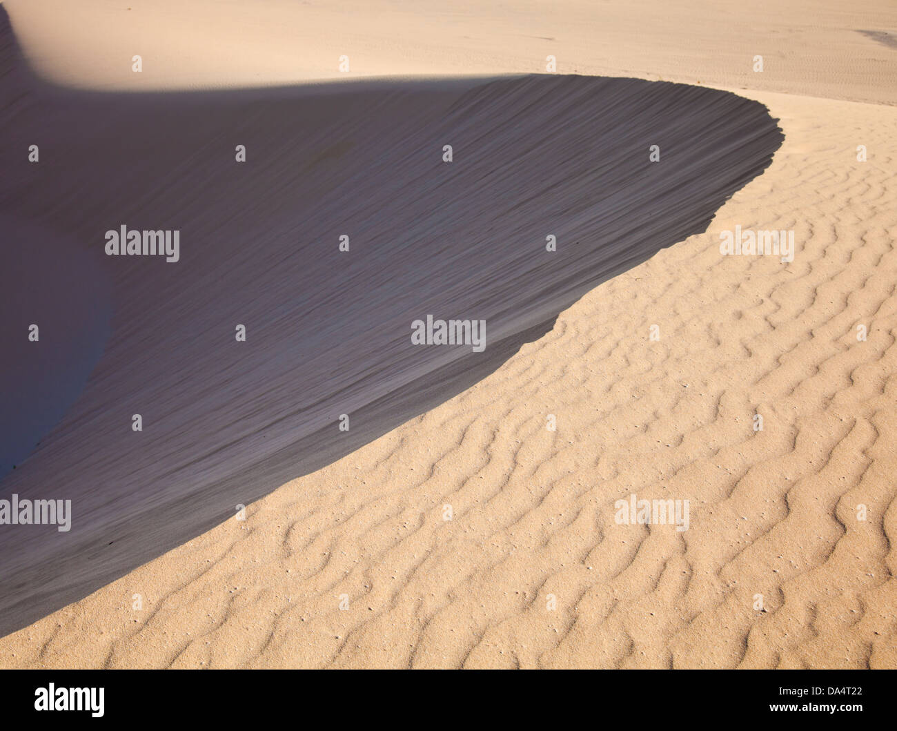 barkhan dune, evening light, long shadows Stock Photo - Alamy