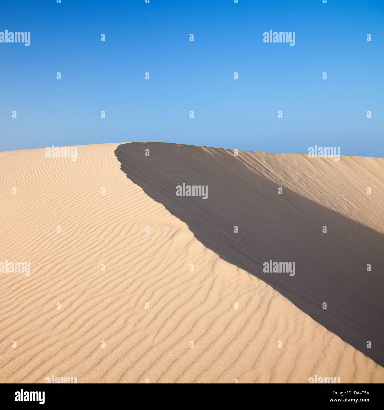 barkhan dune, evening light, long shadows Stock Photo - Alamy