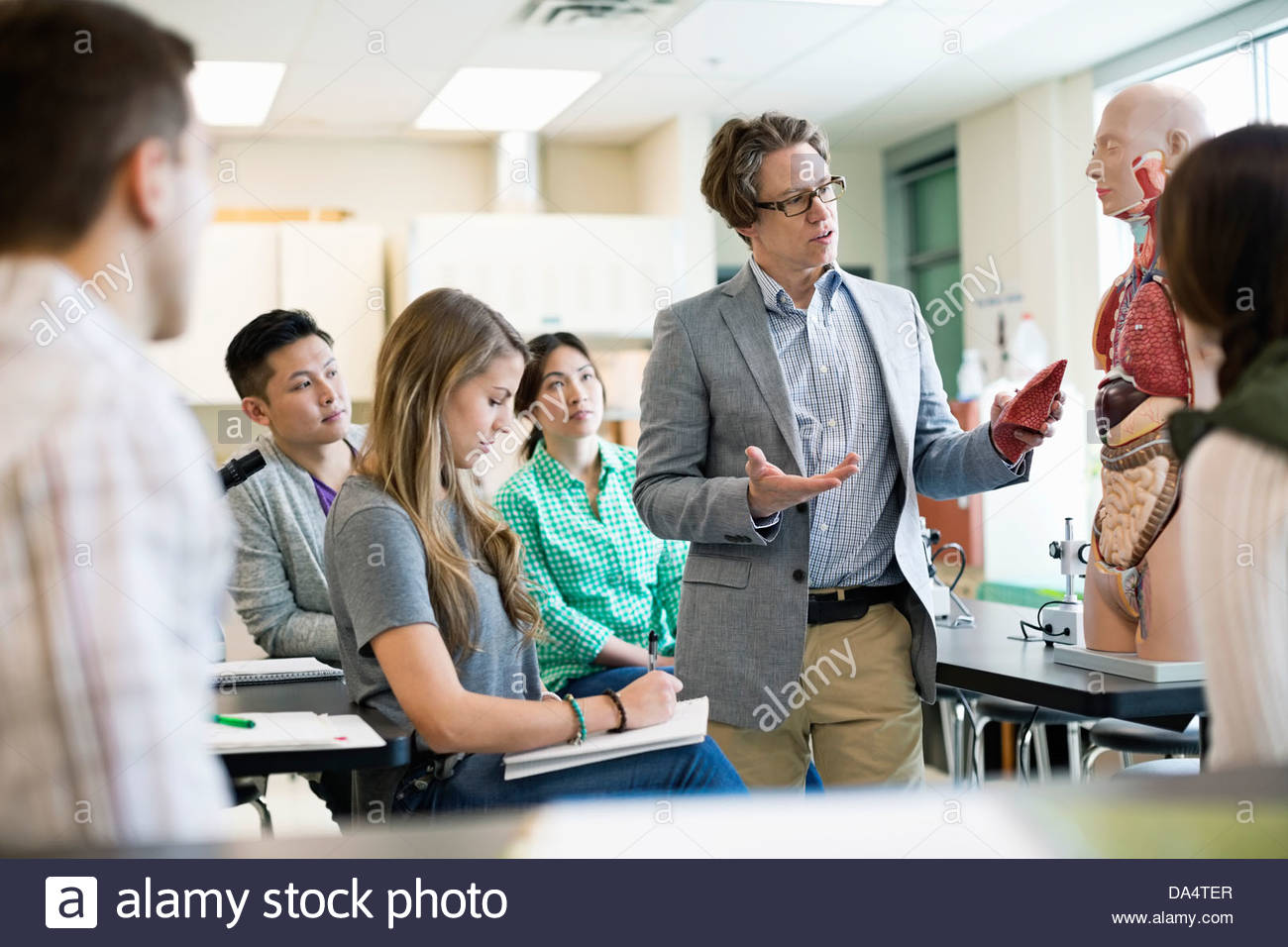 Human anatomy teacher hi-res stock photography and images - Alamy