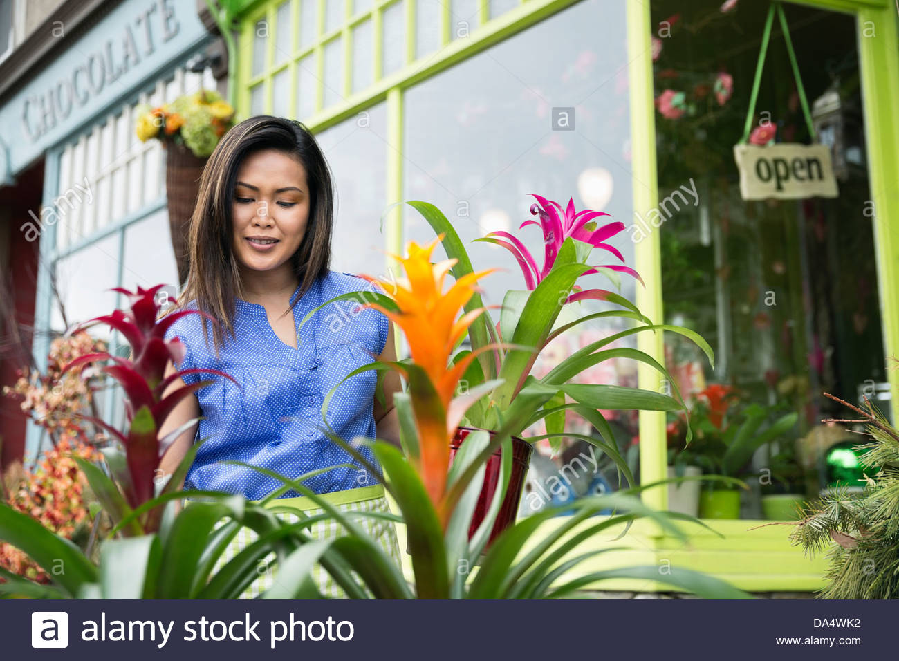 Flower shop hi-res stock photography and images - Alamy