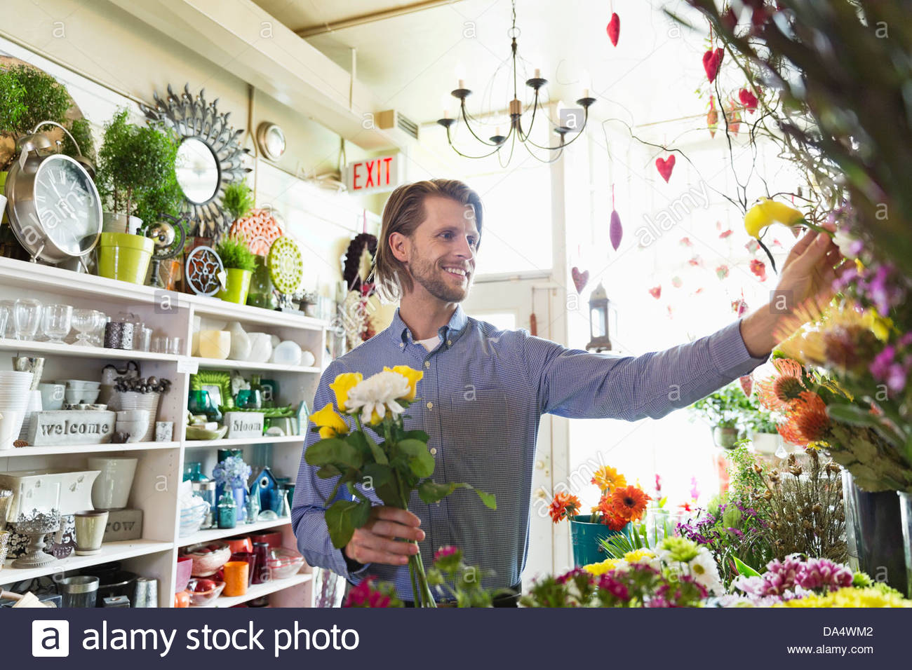 Choosing plant hi-res stock photography and images - Alamy