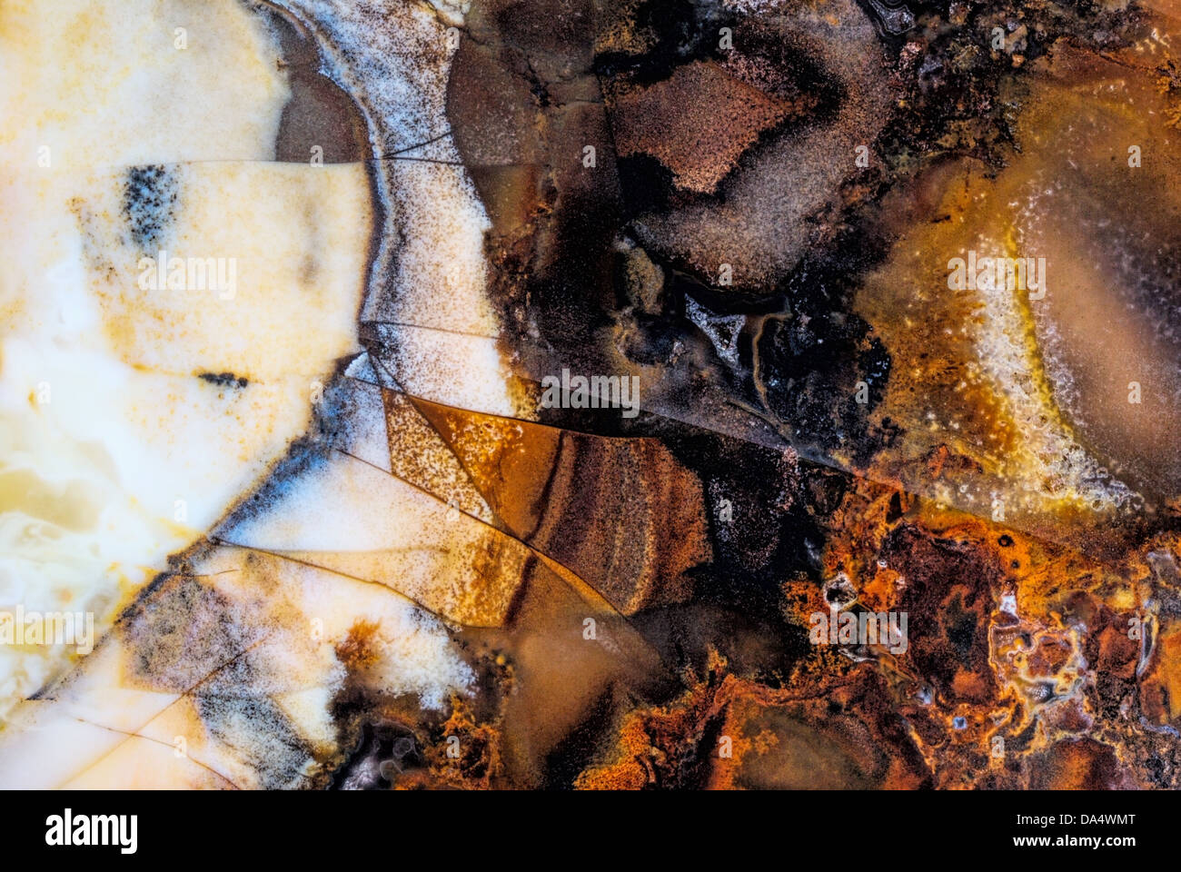 Mocha Agate High Resolution Stock Photography and Images - Alamy