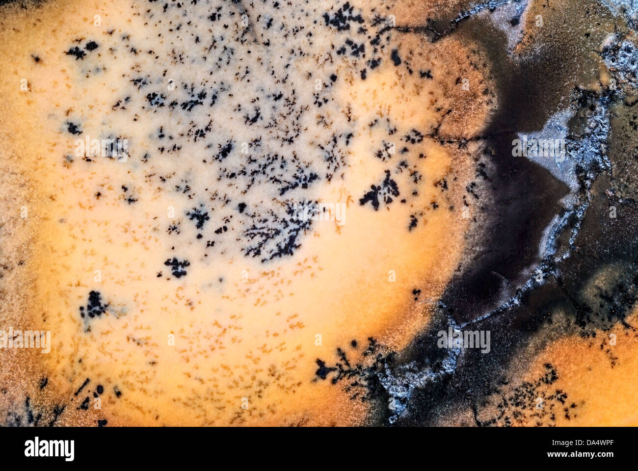 Moss Agate High Resolution Stock Photography and Images - Alamy