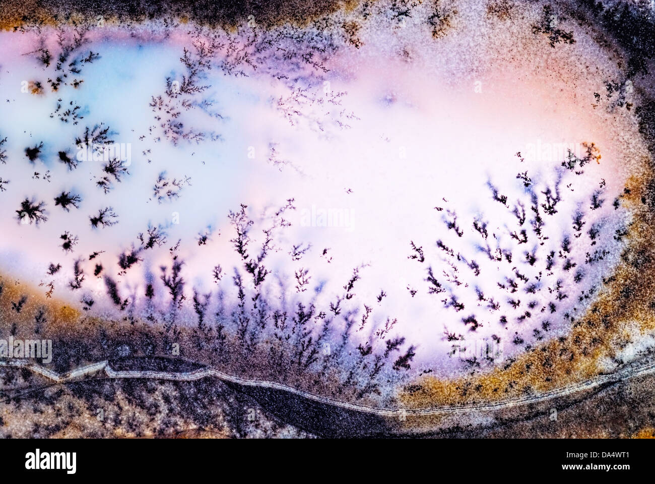 Moss Agate High Resolution Stock Photography and Images - Alamy