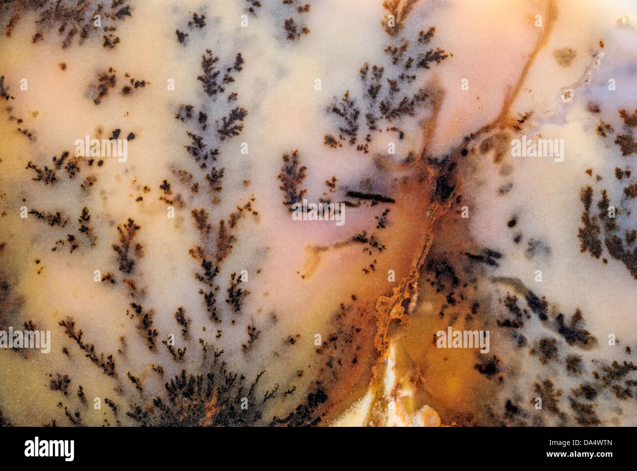 Moss Agate High Resolution Stock Photography and Images - Alamy
