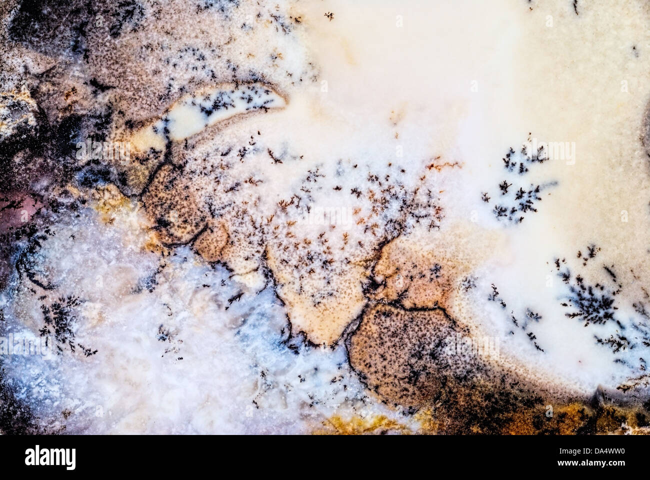 Moss agate hi-res stock photography and images - Alamy