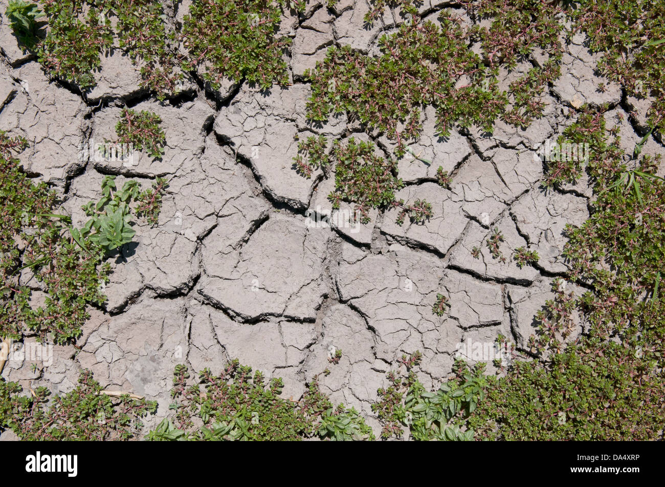 Land, Dry, Desert, Drought, Cracked Stock Photo - Alamy