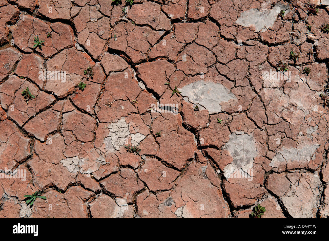 Land, Dry, Desert, Drought, Cracked Stock Photo - Alamy