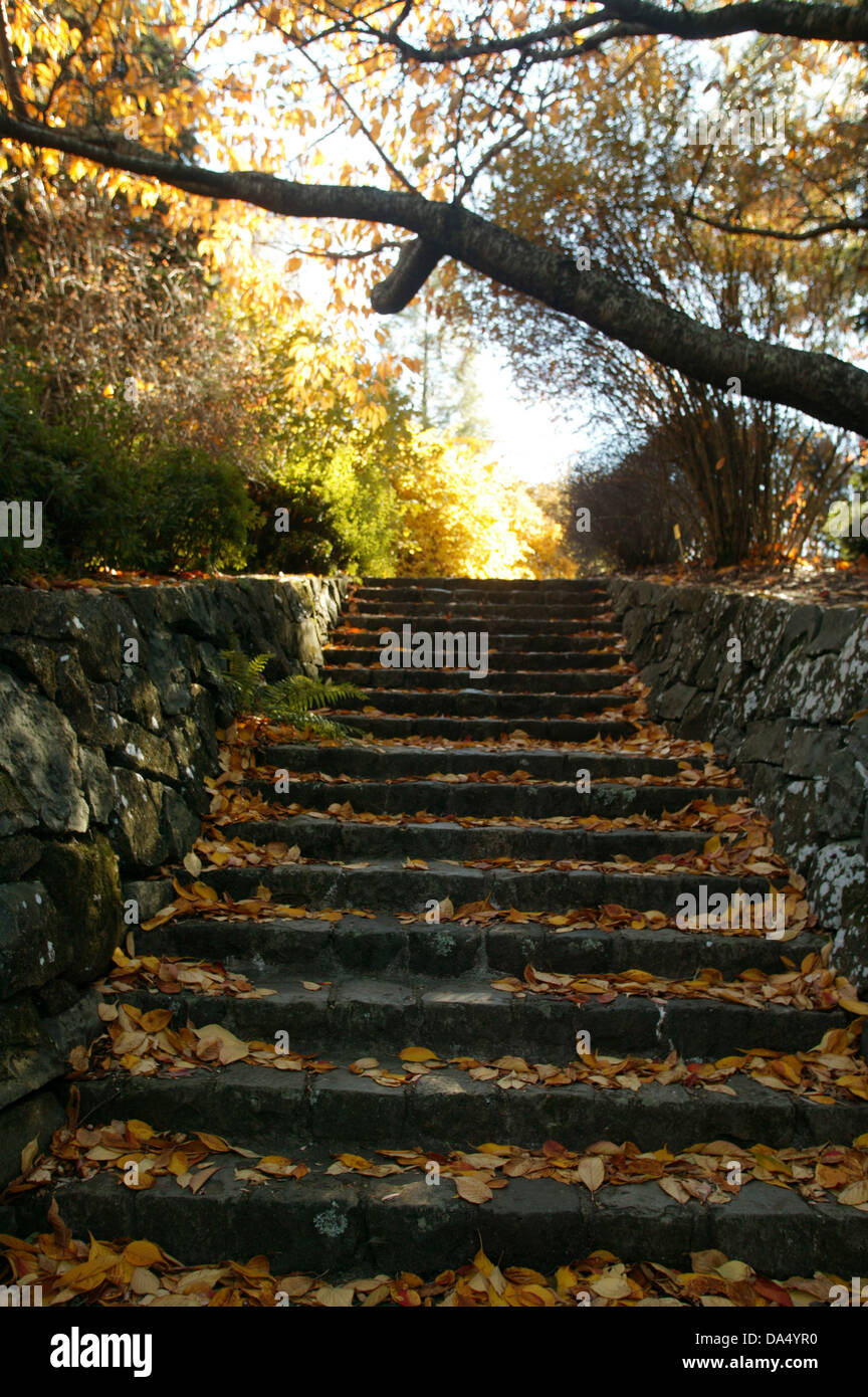 Garden Stone Steps High Resolution Stock Photography and Images - Alamy