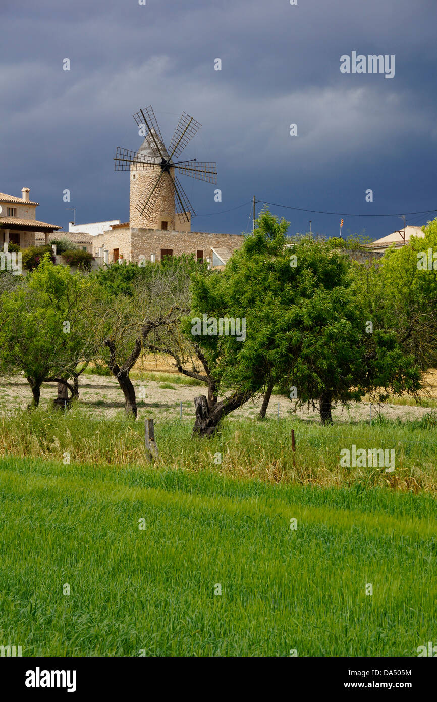 windmill, sineu, mallorca, spain Stock Photo - Alamy