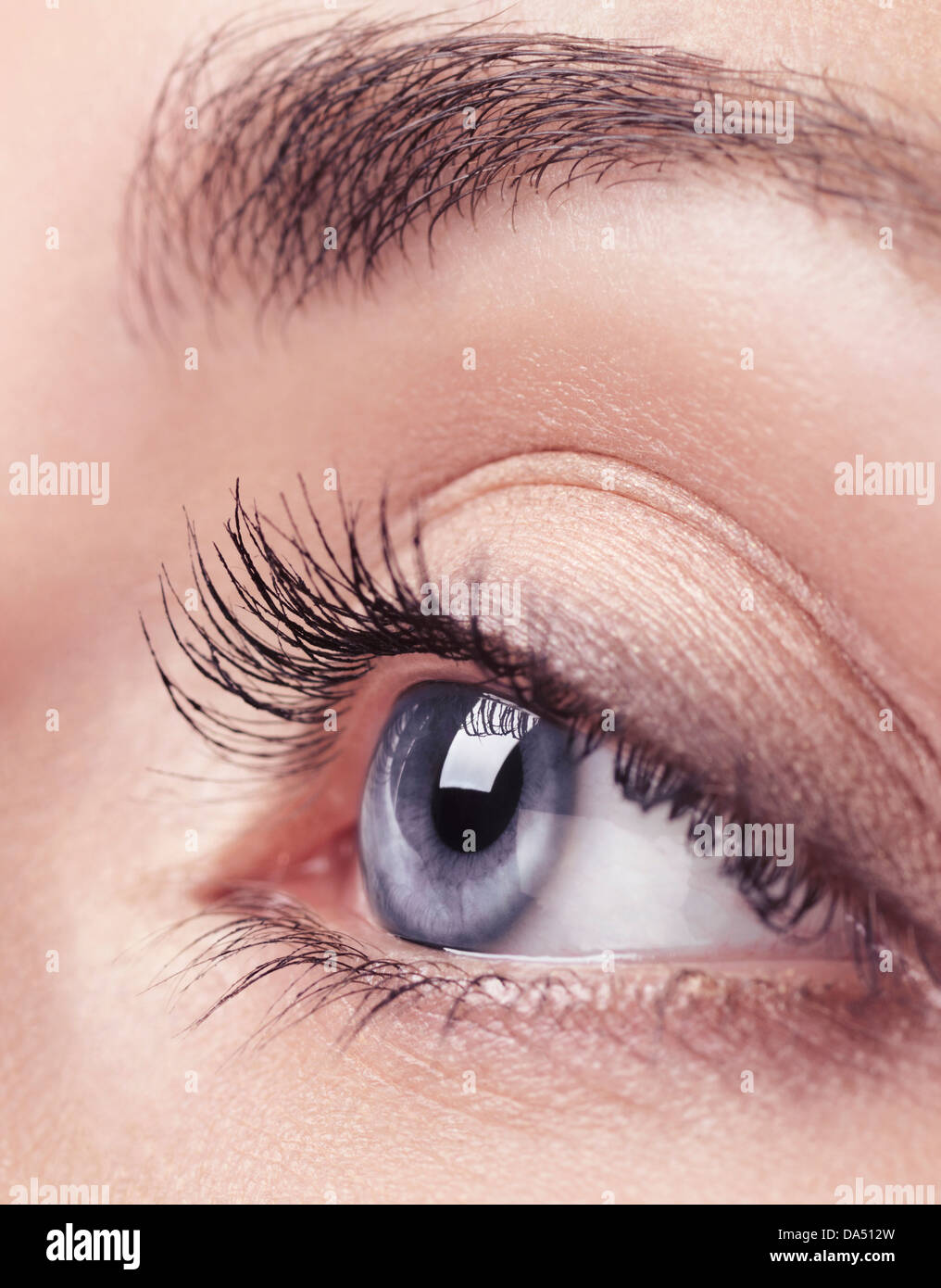 Eye Lashes Beauty High Resolution Stock Photography and Images - Alamy