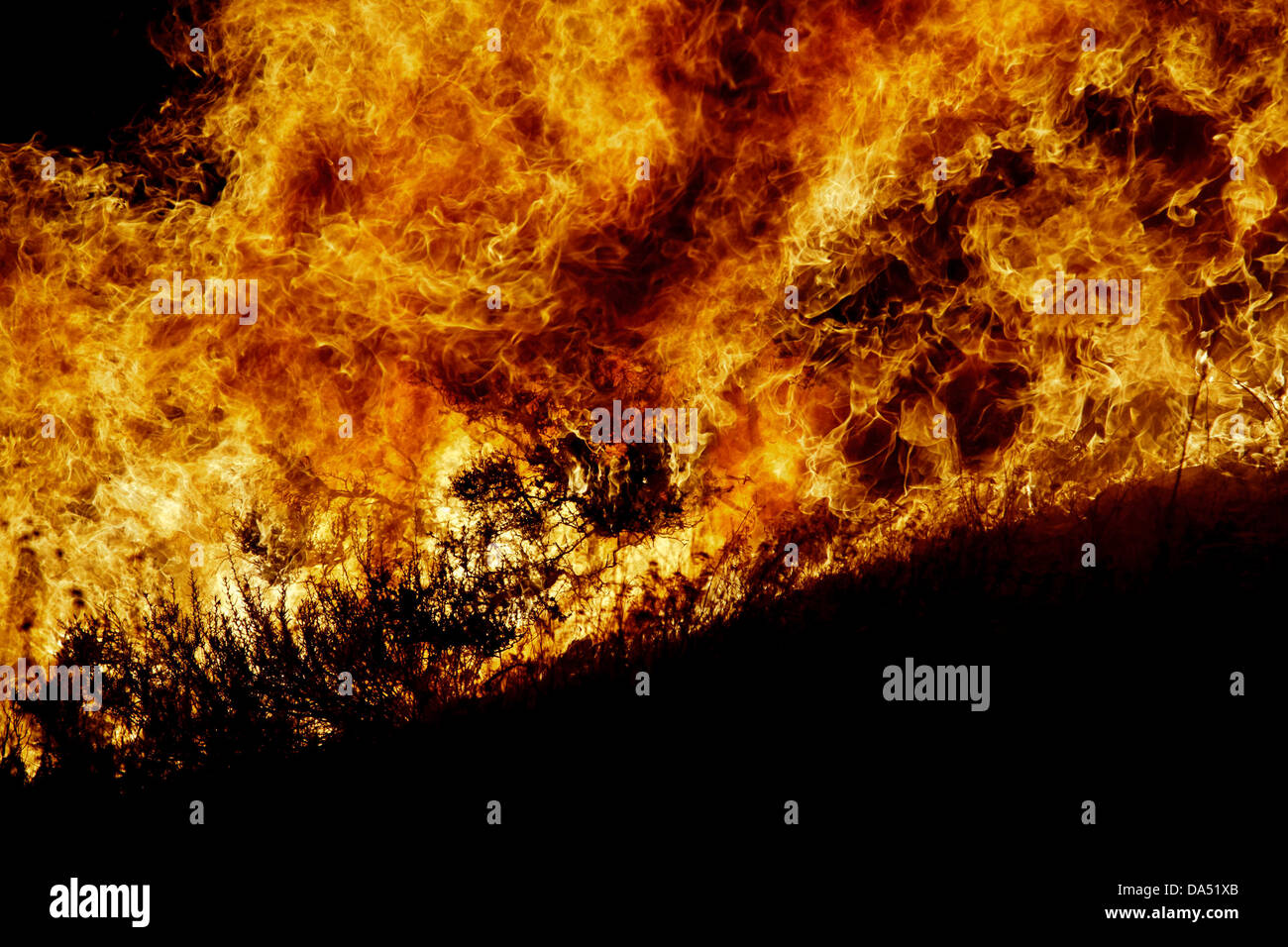 Sep 05, 2009 - Los Angeles, California, U.S. - Vista Grande Hotshots ...