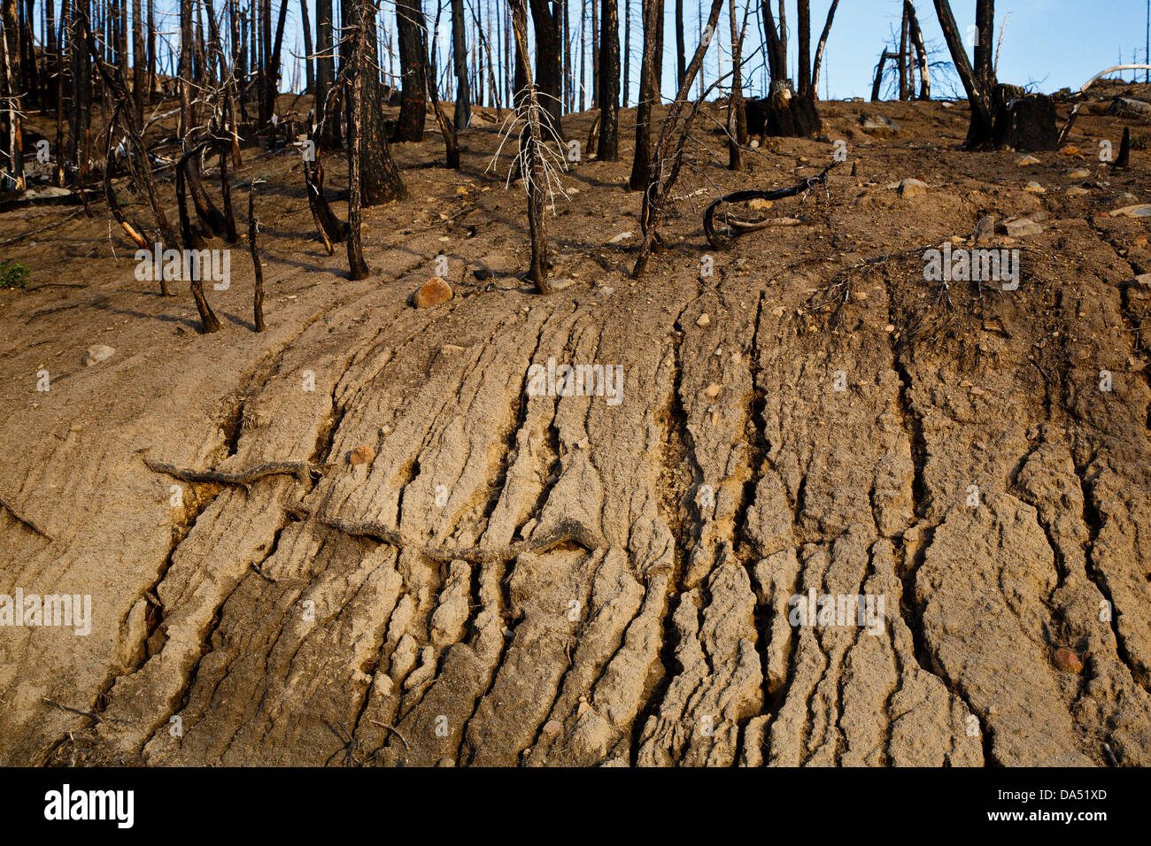 Oct 23, 2009 - Susanville, California, U.S. - Water-resistant ...