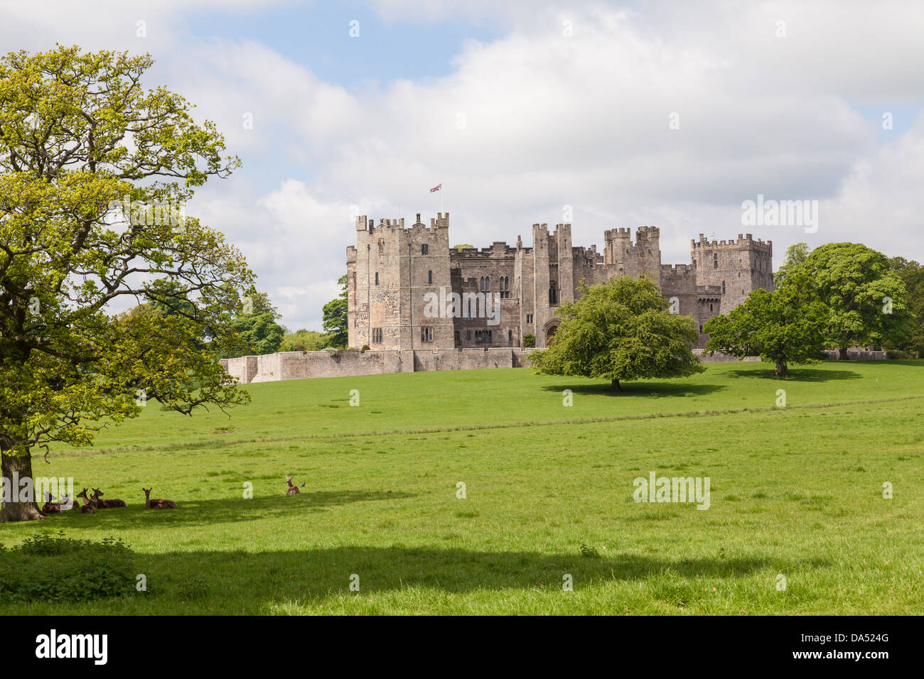 Raby castle hi-res stock photography and images - Alamy