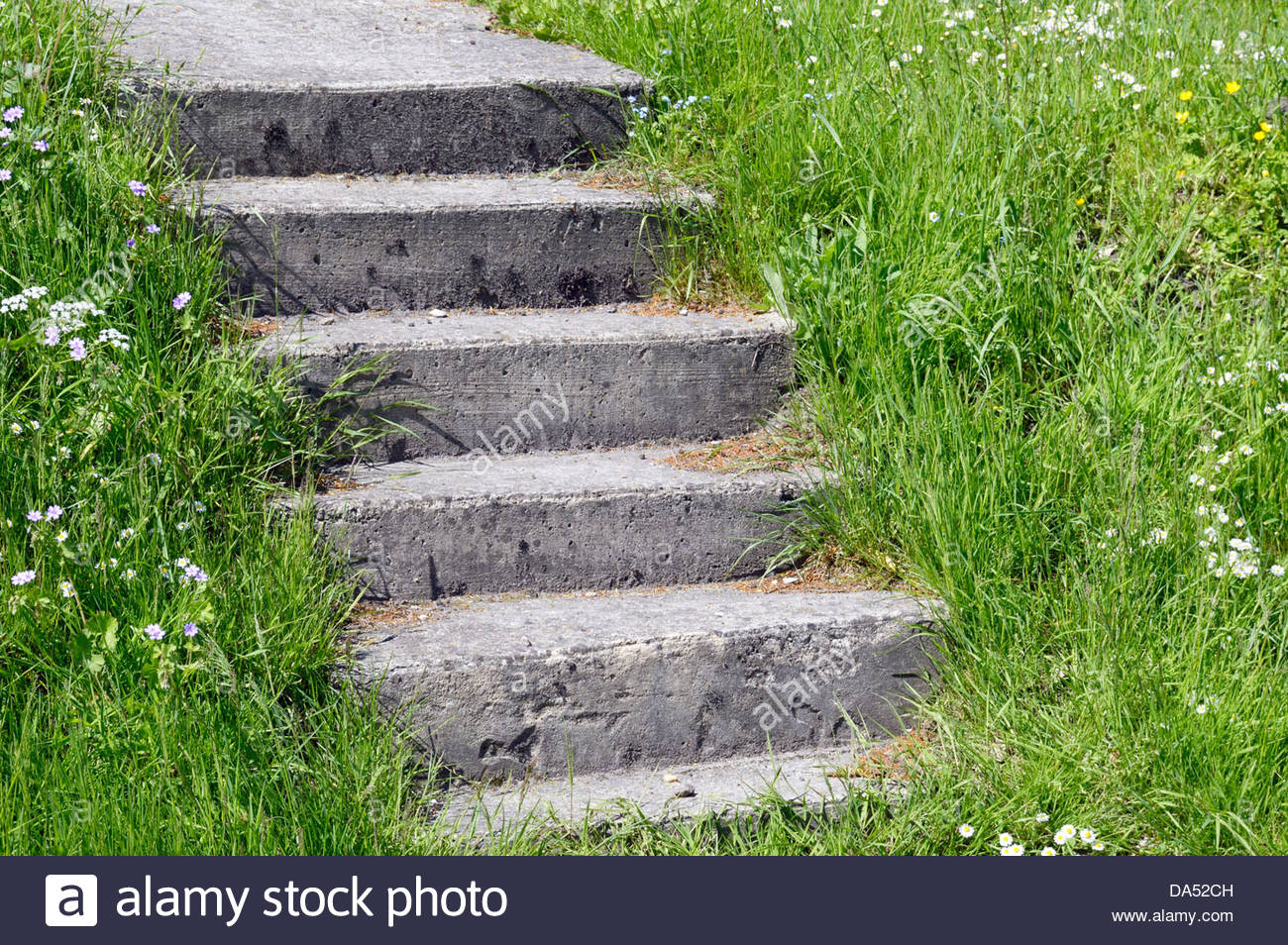 Garden Stone Steps High Resolution Stock Photography and Images - Alamy
