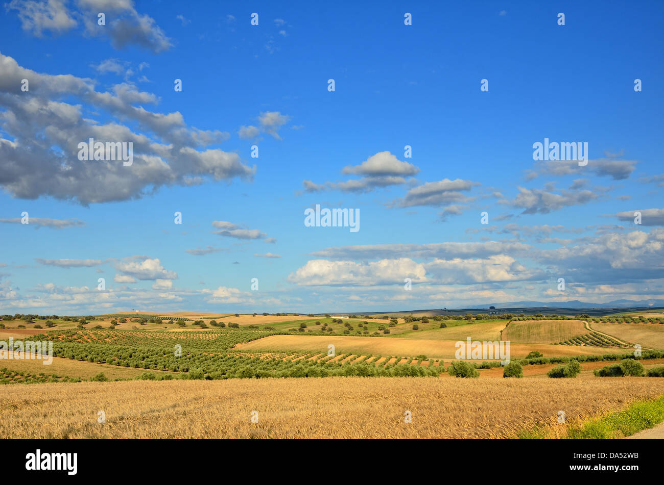 Spanish country landscape in spring Stock Photo - Alamy