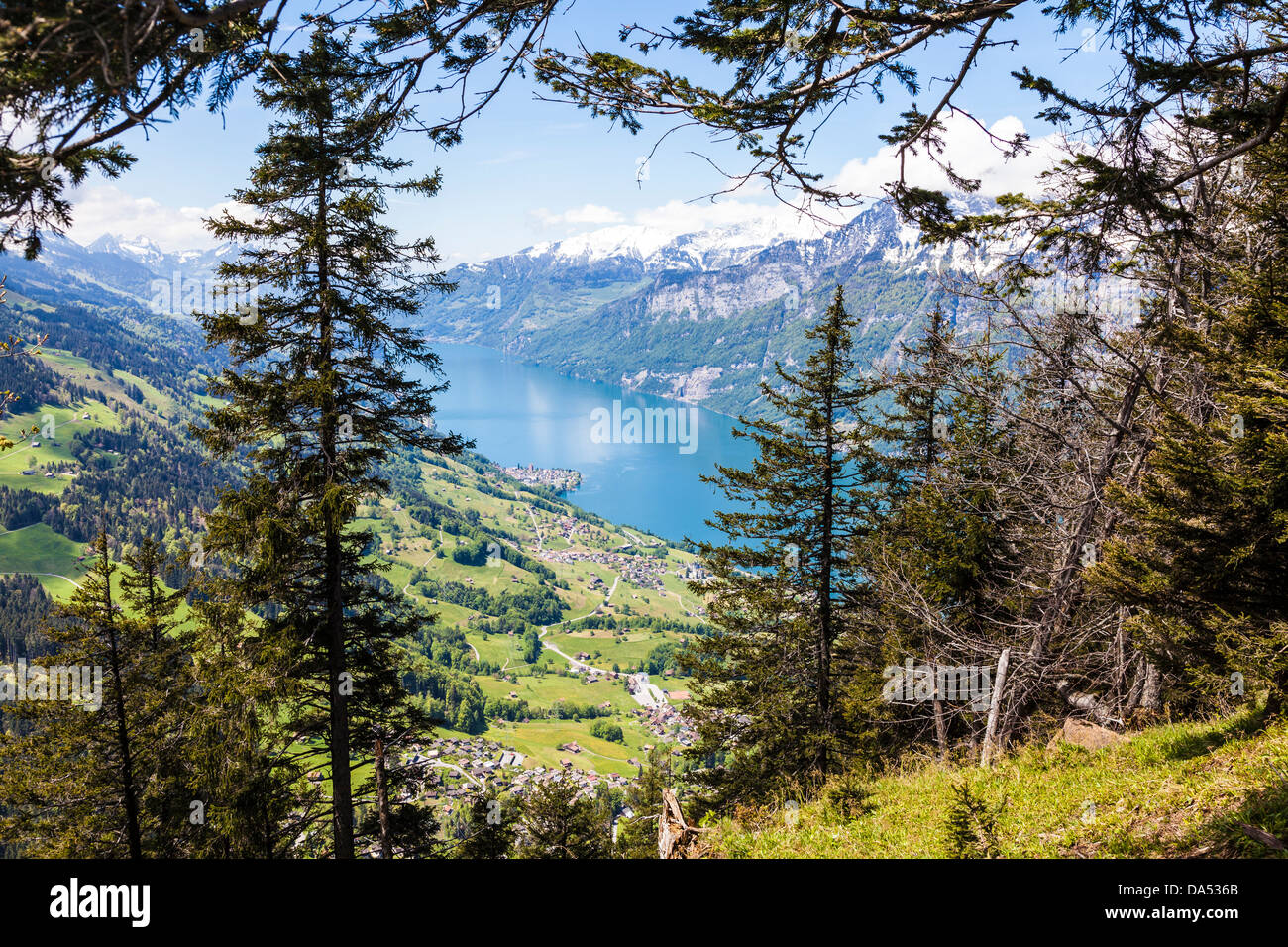 Walensee lake in Switzerland Stock Photo - Alamy