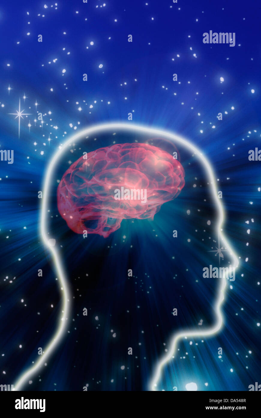 man head shape with brain seen through Stock Photo - Alamy