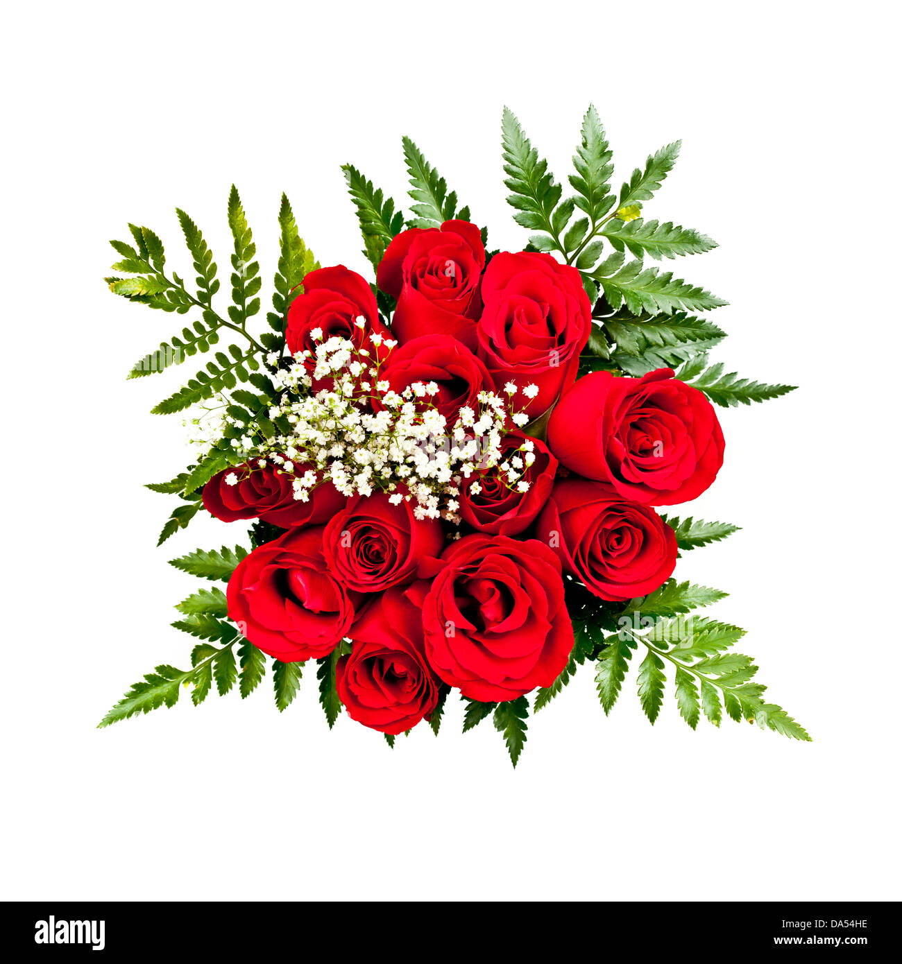 Bouquet of a dozen red roses from above on white background Stock Photo ...