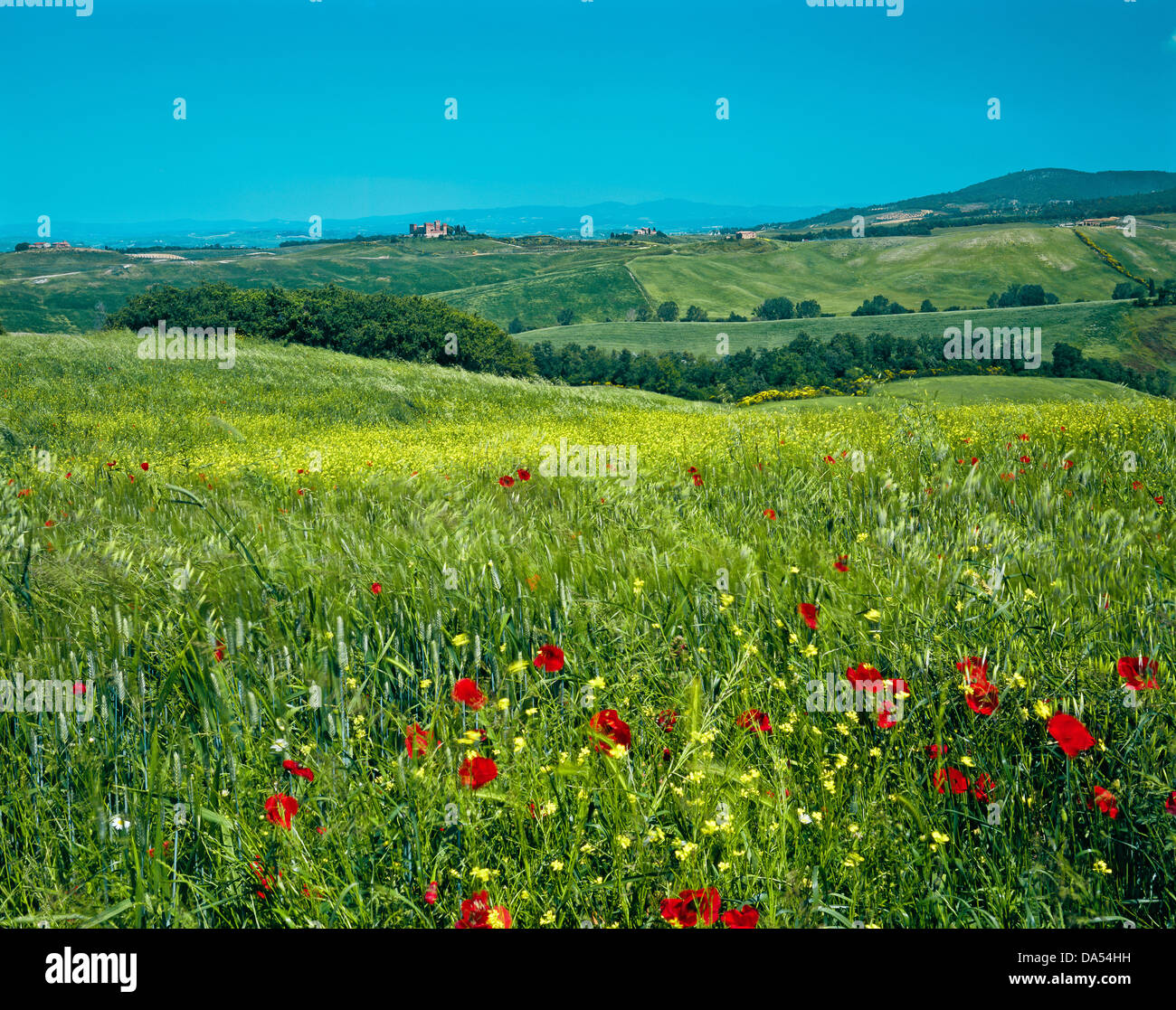 Sinalunga italy hi-res stock photography and images - Alamy