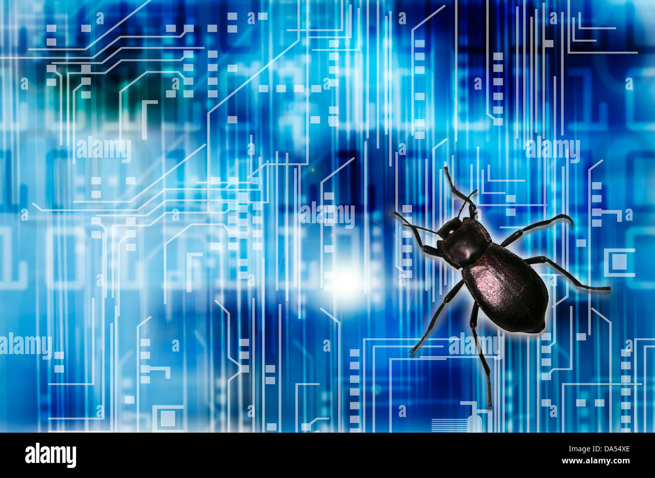 a bug on a technology background Stock Photo - Alamy